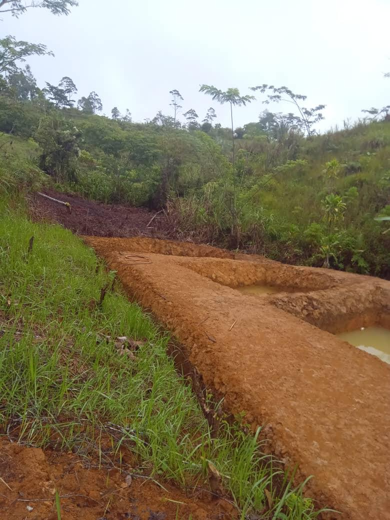 Integrated Reforestation and Livelihood Innovation – Pacific Climate ...